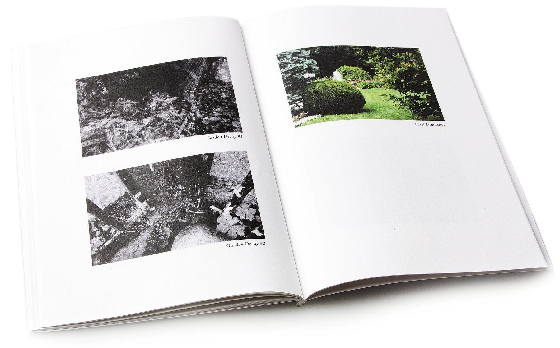 A Natural History of Forgotten Moments – Clint Enns