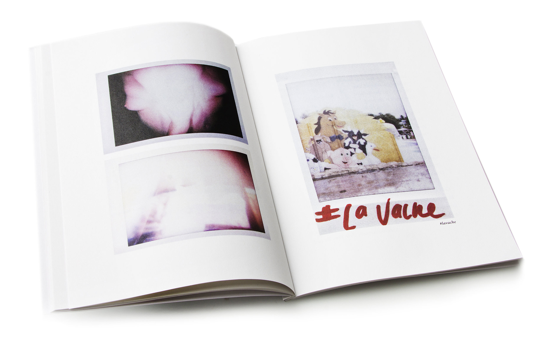 A Natural History of Forgotten Moments – Clint Enns